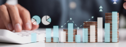 VDT Syndrome - HOYA Corporation