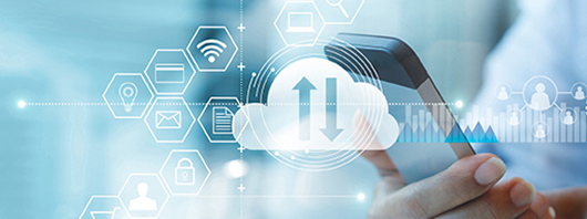 VDT Syndrome - HOYA Corporation