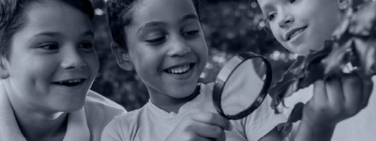 VDT Syndrome - HOYA Corporation