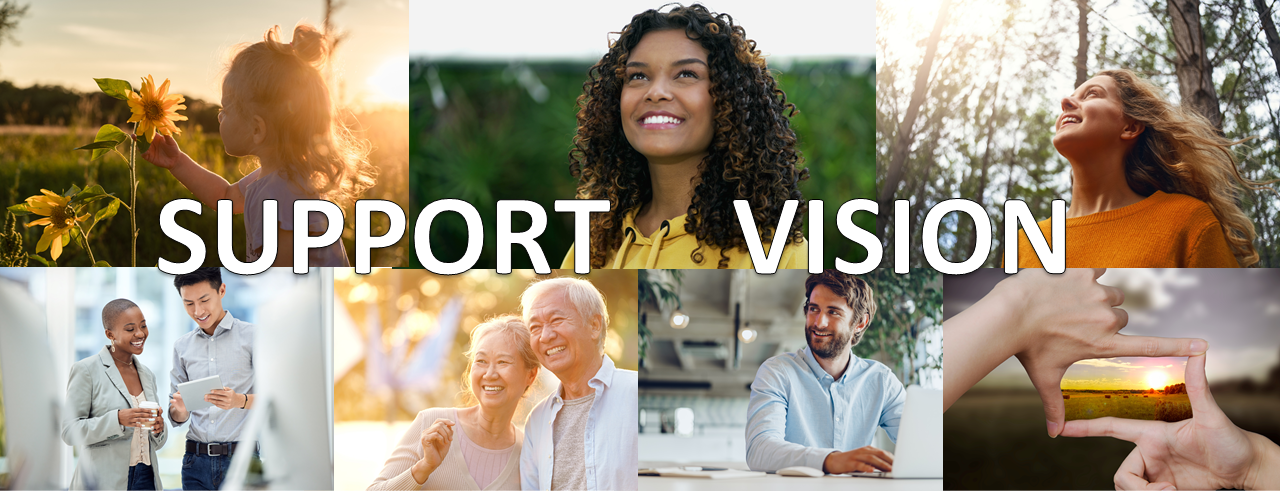 Support Vision - HOYA Corporation