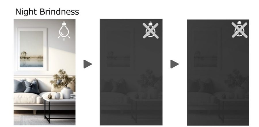 Night blindness (Nyctalopia) - HOYA Corporation